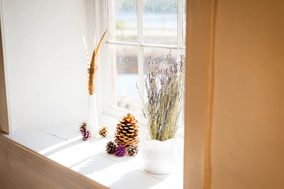 jill + tim // prallsville mills wedding, nj wedding photographer ...